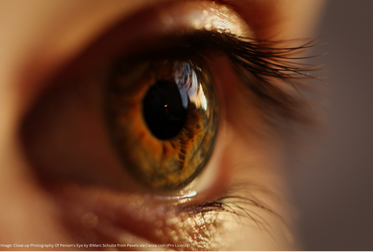 What can we learn about autism in adults from the eye?