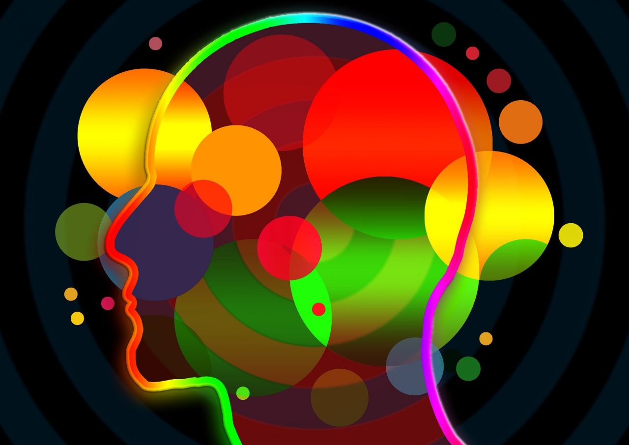 Behaviour and cognition